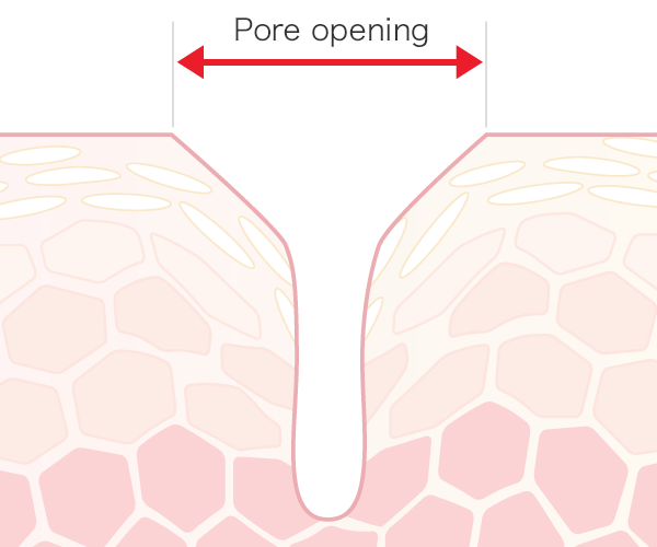 Item List - Skin Problems : Pore Care | b.glen